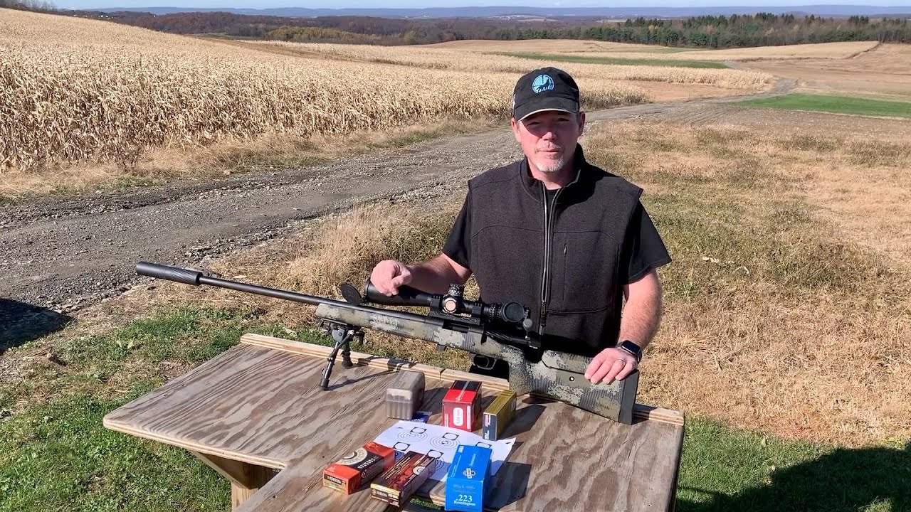 ACE .223 Range Trip and Test: No Zero Change Across Multiple Brands of ...