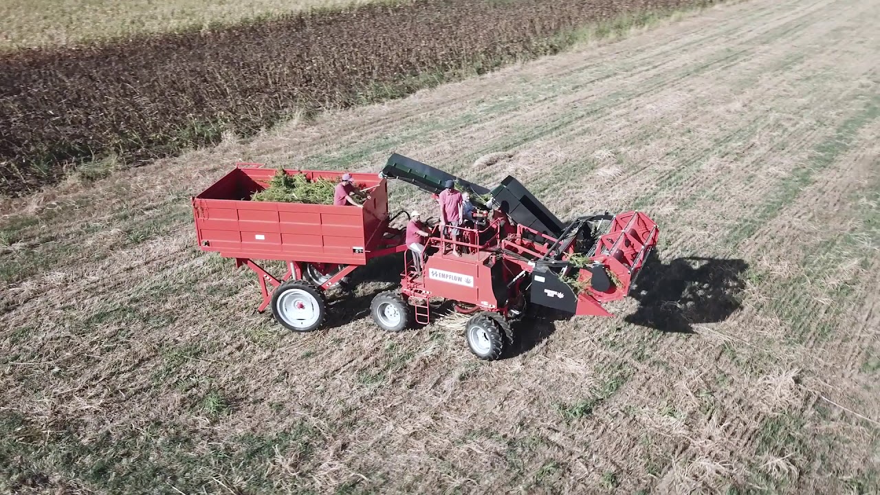 Hemp Flower Harvester - YouTube