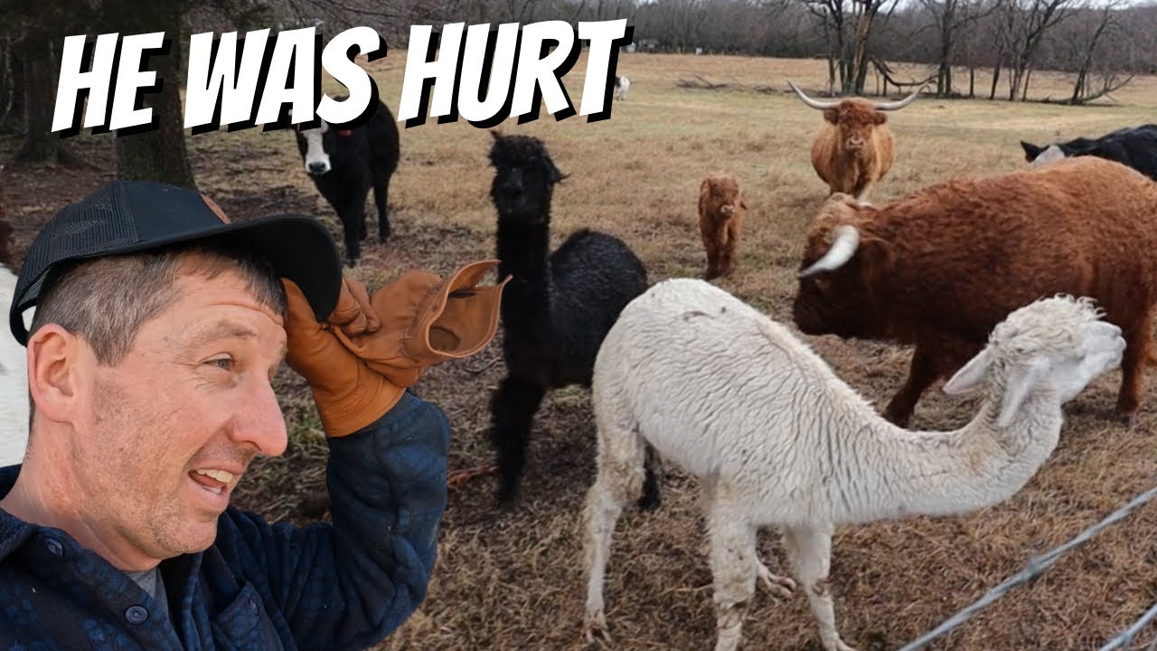 MAJOR CHANGE For Walker Farm Fam - YouTube