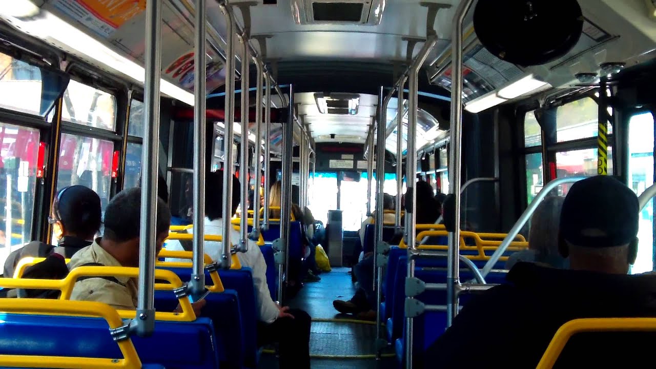 Bee-Line Bus: Neoplan USA AN460 Artic Route 1W Bus Ride: Part 2 - YouTube