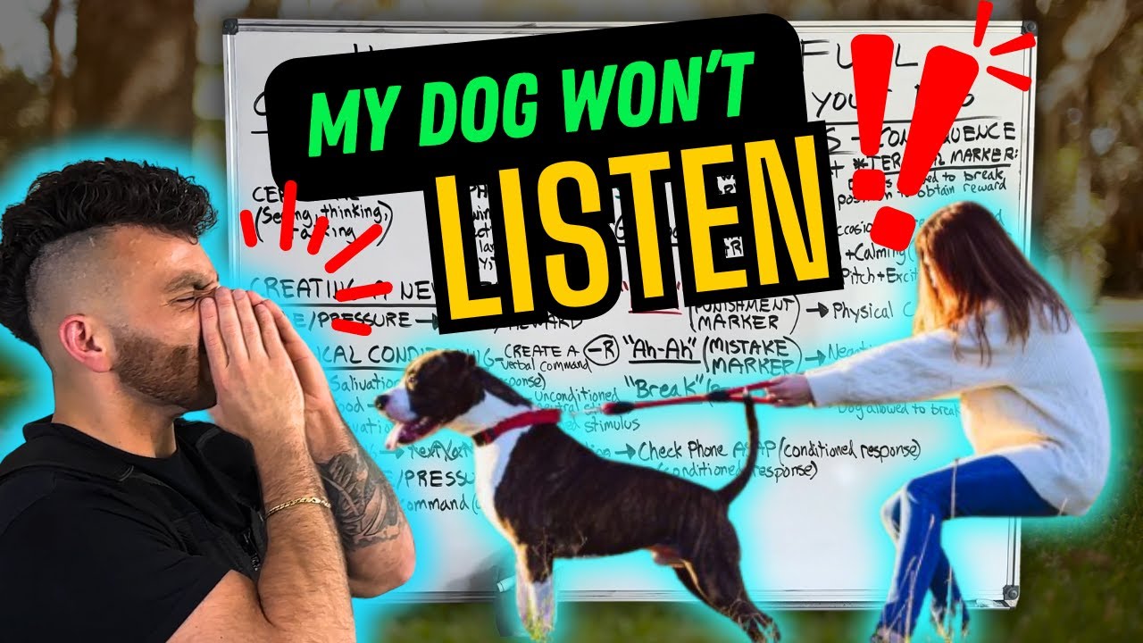 HOW TO create a FULL COMMUNICATION SYSTEM w/ your dog - YouTube