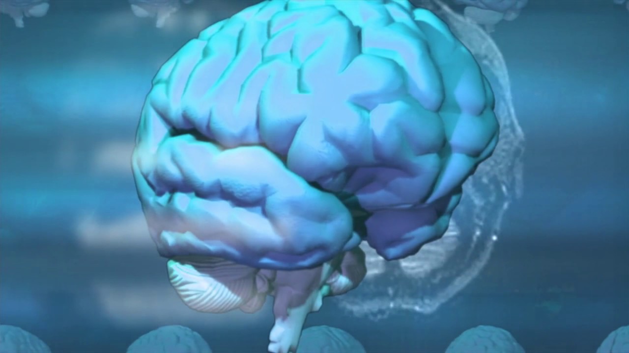 Vyal Trailer: Knowledge - YouTube