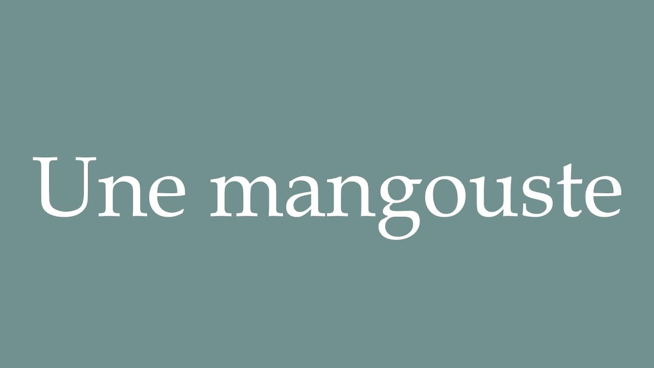 How to Pronounce ''Une mangouste'' (A mongoose) Correctly in French ...