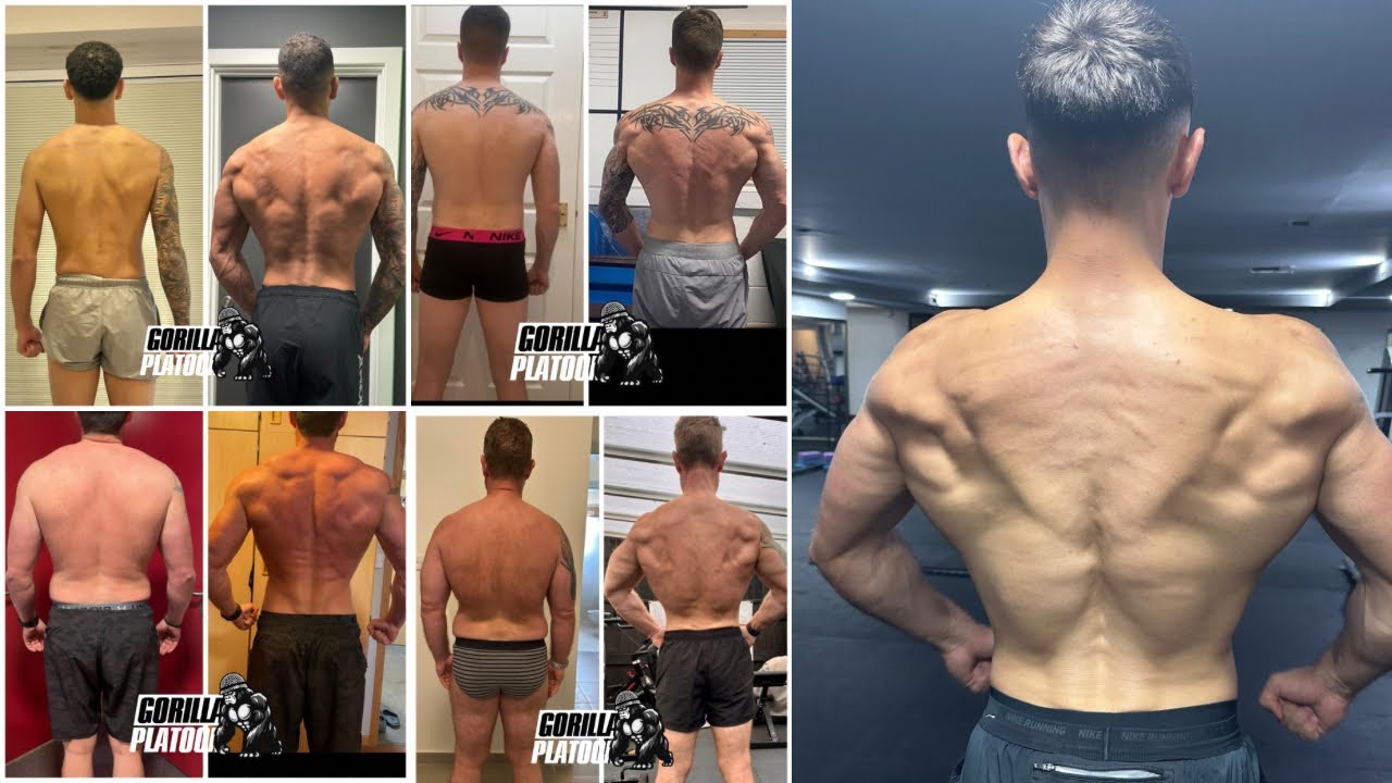 The Perfect Back Workout (According to Results) - YouTube