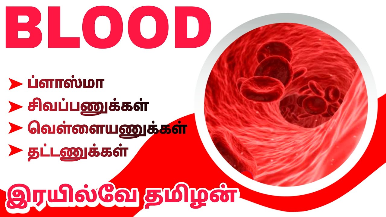 Blood Components and their function | இரத்த கூறுகள் மற்றும் அவற்றின் ...
