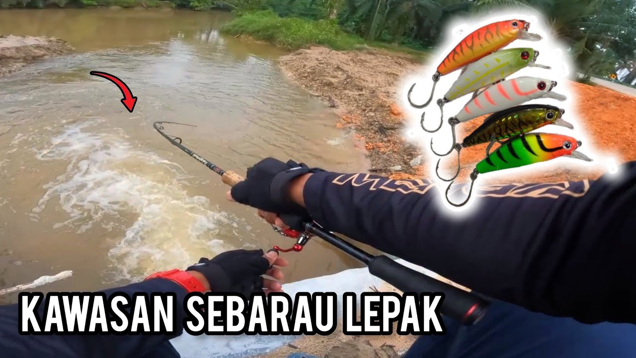 Casting Ikan Sebarau | KAWASAN AIR DERAS MENJADI LUBUK IKAN SEBARAU ...
