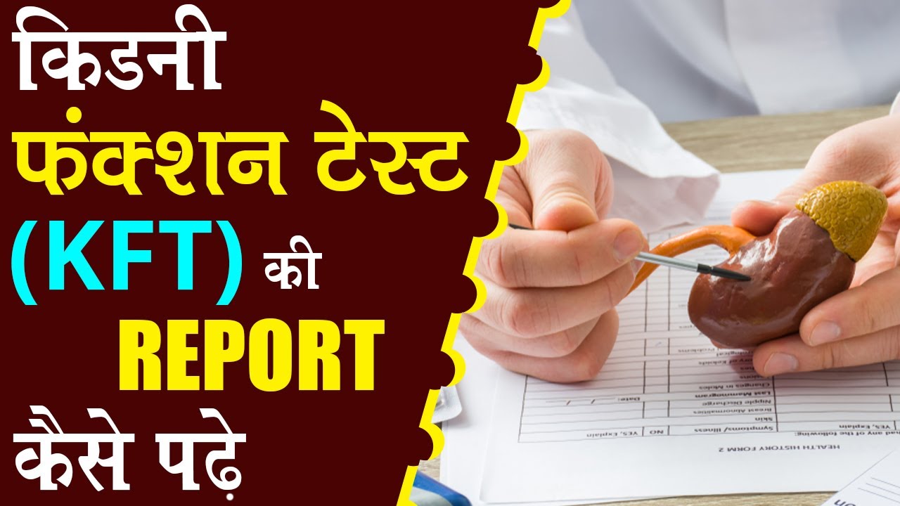 किडनी फंक्शन टेस्ट की रिपोर्ट कैसे पढ़े | Kidney Function Test (KFT ...