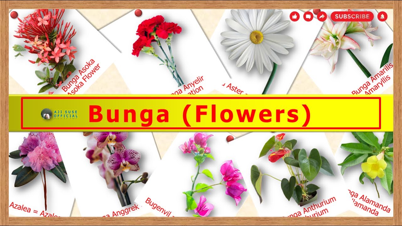 Flowers Name | Nama Bunga dalam Bahasa Indonesia dan Inggris | Flowers ...