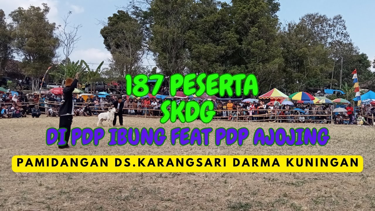 KONTES DOMBA GARUT TERBARU SKDG [ PDP IBUNG ] DS. KARANGSARI KEC. DARMA ...