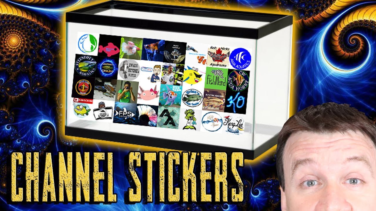 Channel Stickers - You've Seen them Everywhere! Get yours now! - YouTube