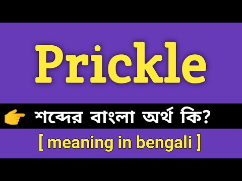 Prickle Meaning in Bengali || Prickle শব্দের বাংলা অর্থ কি || Bengali ...