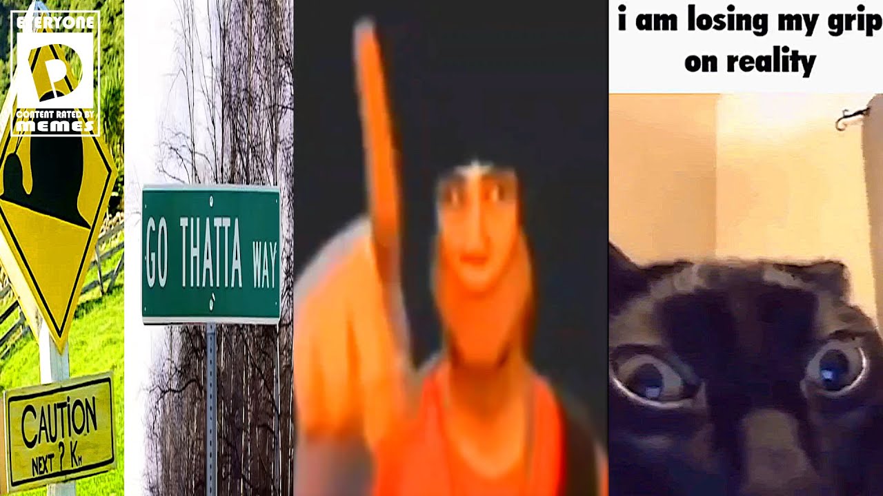 Brainrot Memes of the Internet 19 - YouTube