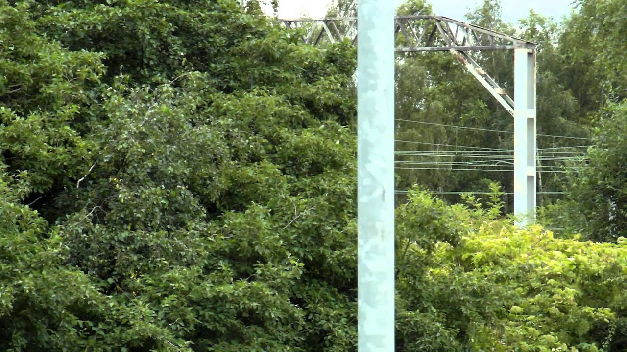 camouflage Class 70 with horn - YouTube