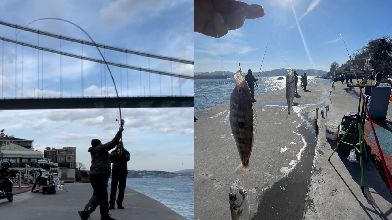 Istanbul Bosphorus Trachurus Fishing - YouTube
