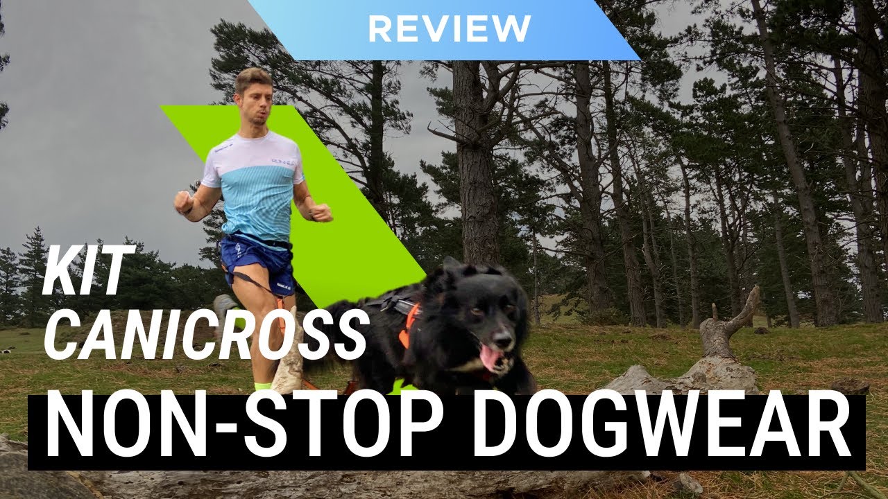 Non-stop dogwear, kit completo de canicross para disfrutar corriendo ...