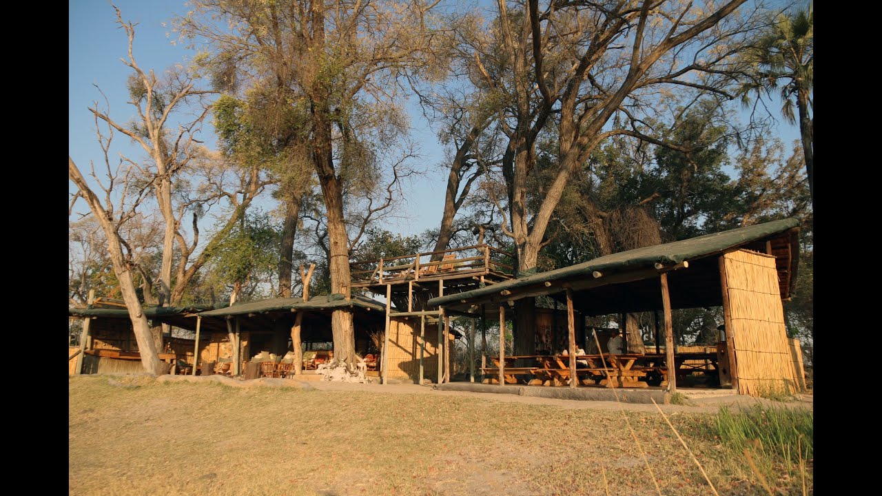 ODDBALLS CAMP, OKAVANGO DELTA, BOTSWANA 1.9.2022 - YouTube