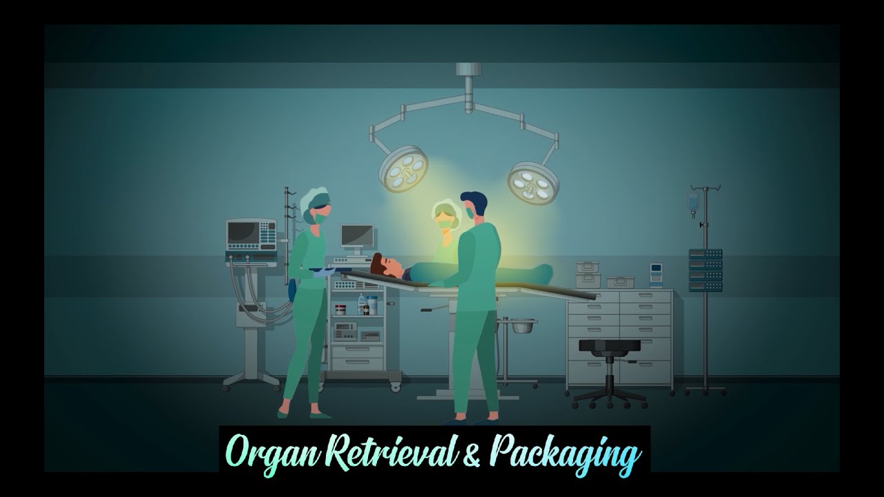 Organ Retrieval and Packaging by ROTTO-SOTTO, Mumbai - YouTube