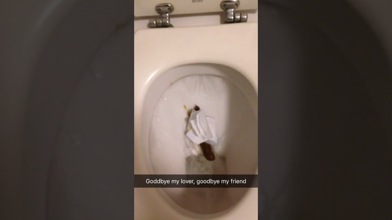 That's me taking a shit - YouTube
