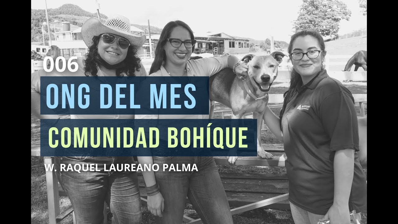Equinoterapia en Puerto Rico I Comunidad Bohique & Integro Foundation - YouTube