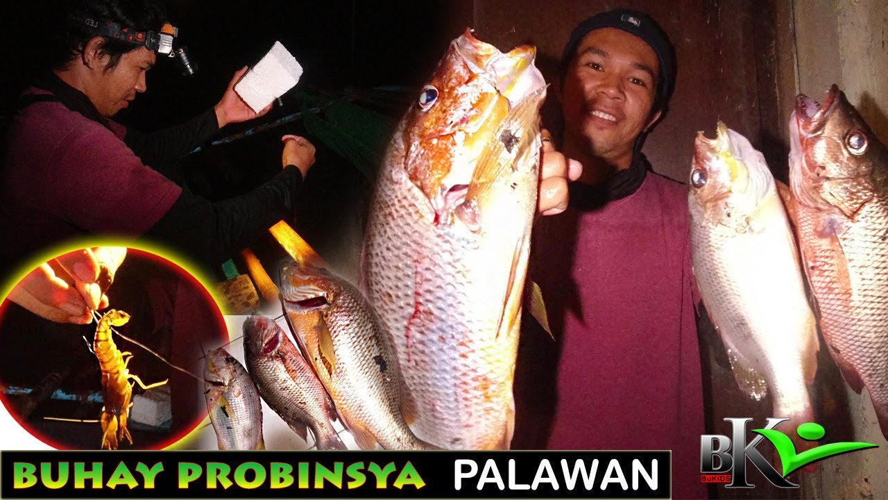 Bukids204- Pataw pataw fishing sa ilog para may pangulam| Catch and ...