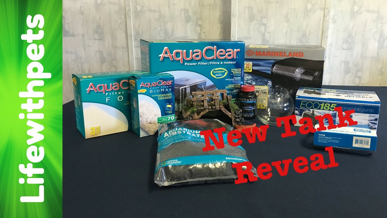 Huge Fish Haul and New Tank Reveal (Sneak peak) - YouTube