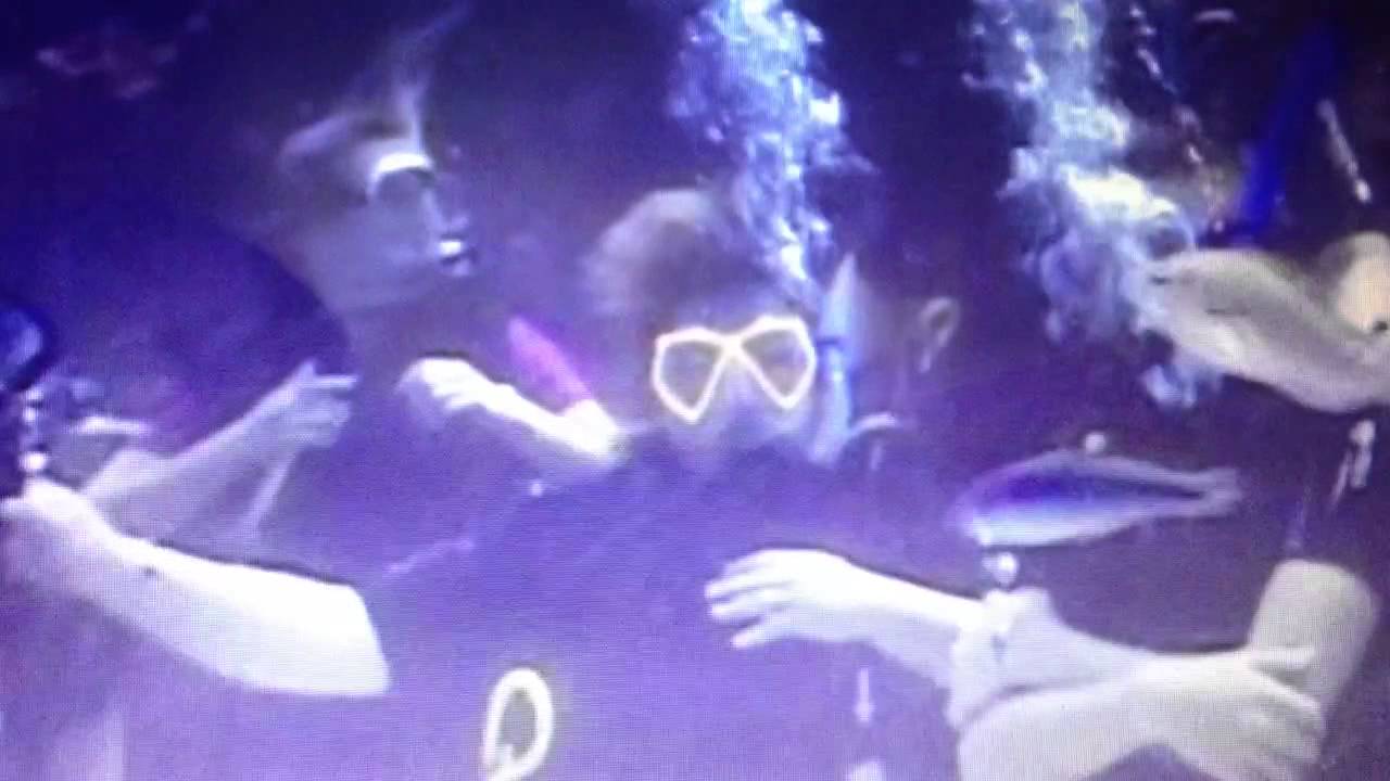 Struble family scuba shark dive Roatan Honduras 2013 - YouTube