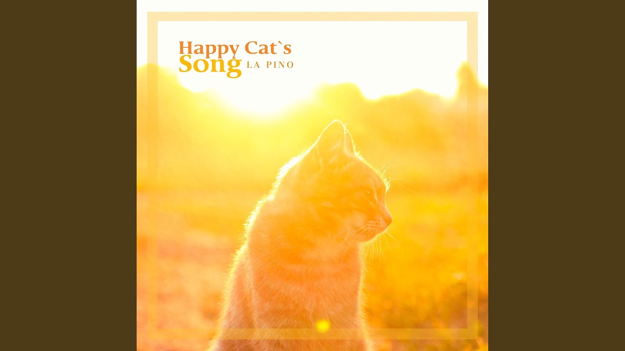 Happy Cat`s Song - YouTube