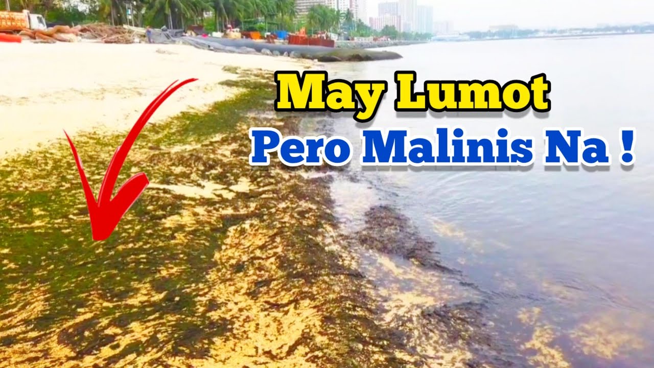MAY LUMOT SA PHASE 2 PERO MALINIS ANG PALIGID | DOLOMITE BEACH - YouTube