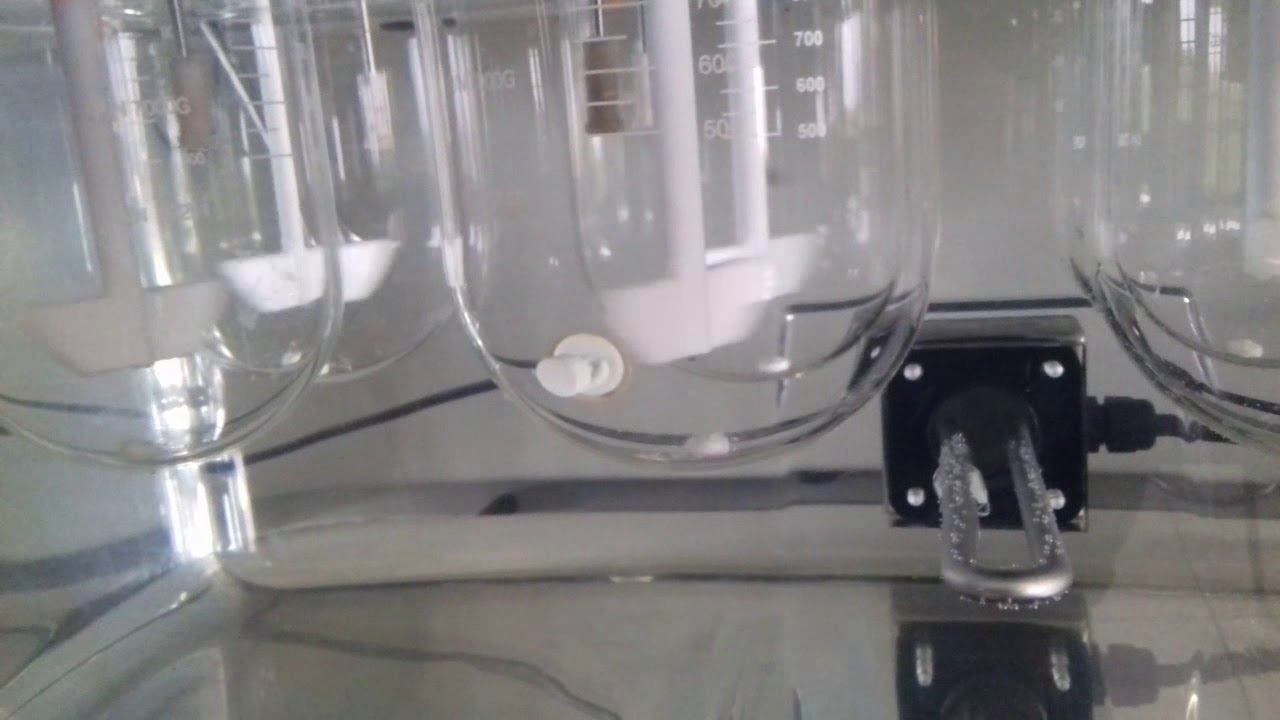 Disolusi metode dayung - YouTube
