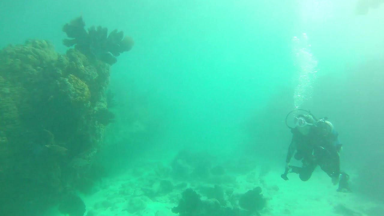 Looe Key 2 - YouTube