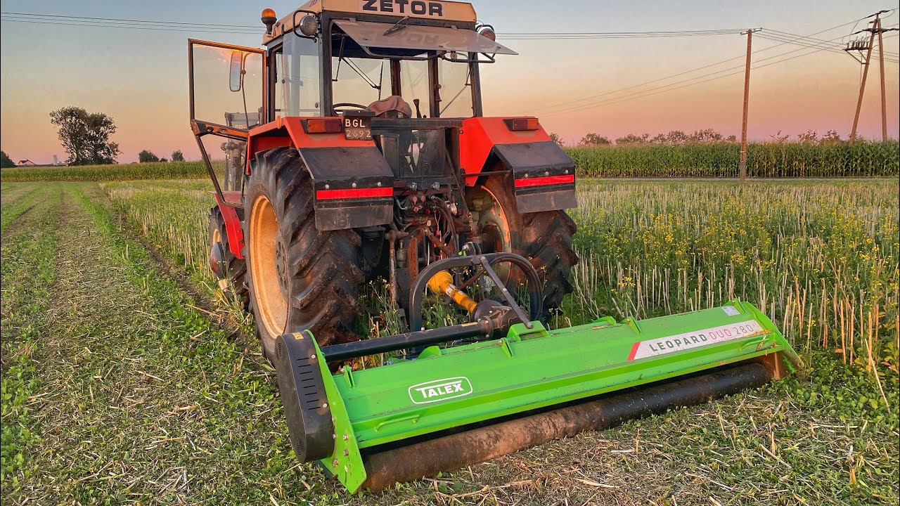 Testy Mulczera TALEX Leopard Duo 280🔥💪 - YouTube