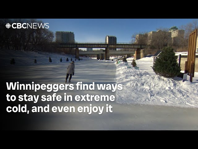 Winnipeg Weather Memes Most Canadians Won't Get A White Christmas,