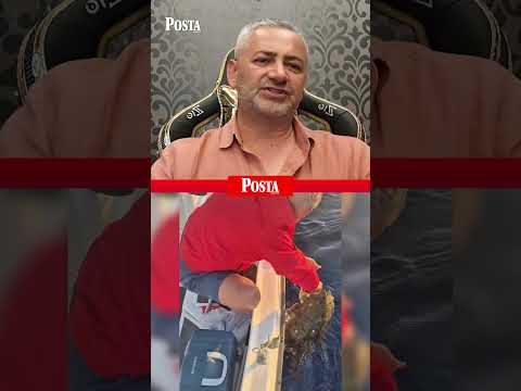 Bir haftada ikinci vaka! Deniz kaplumbağalarına acımasız infazın şifresi: 'Ağ intikamı'