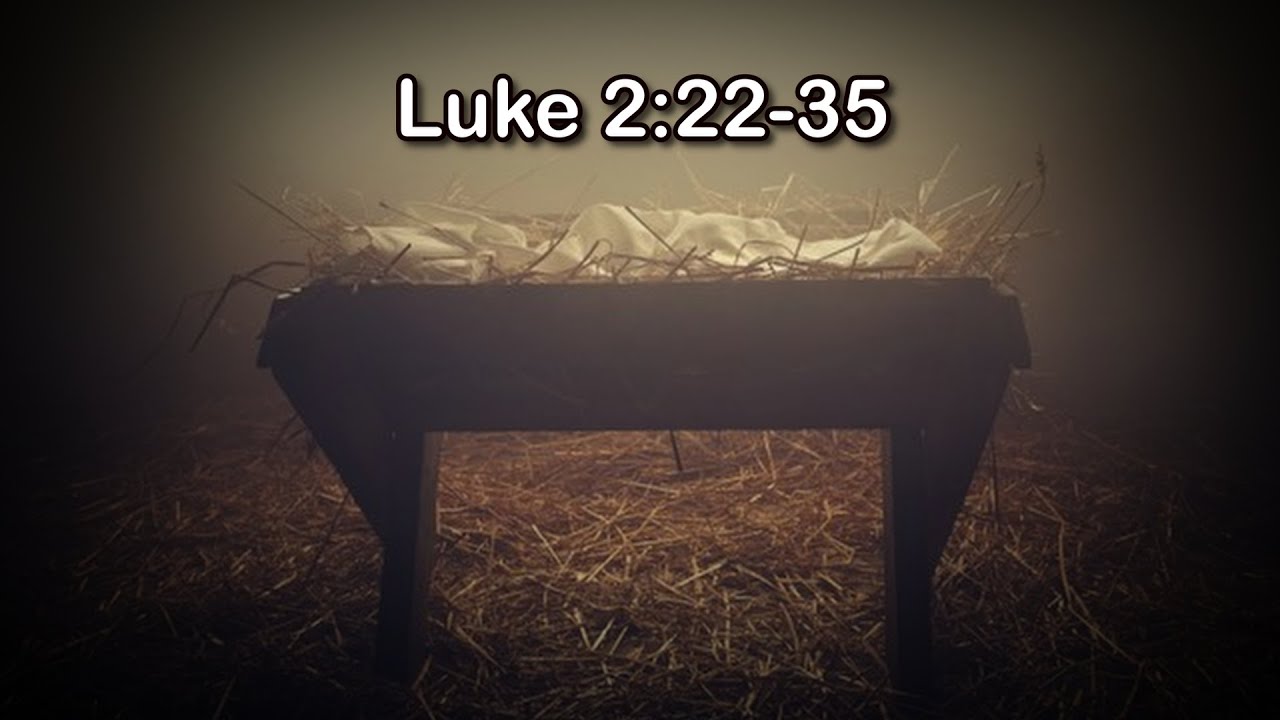 Advent Reading - Luke 2:22-35 #advent #kids - YouTube