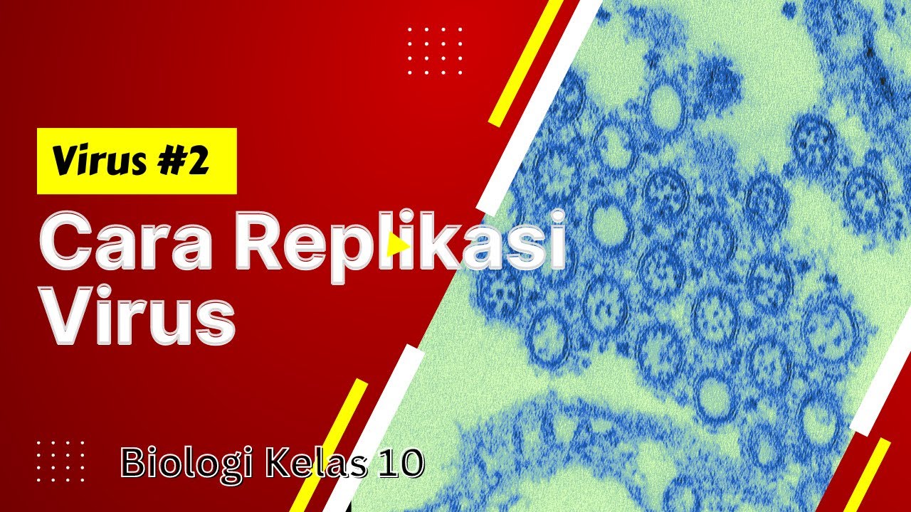 Virus#2: Cara Replikasi Virus - YouTube