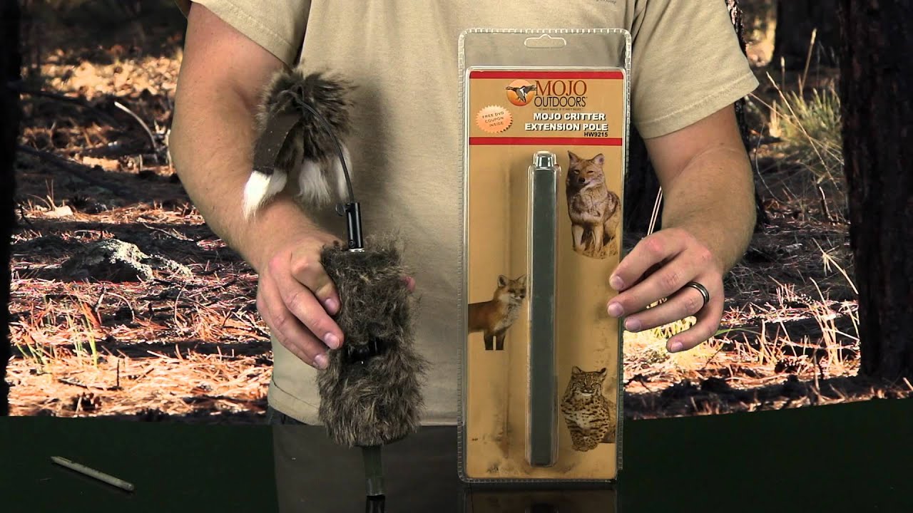Mojo Critter Decoy for Predator Hunting Review - YouTube