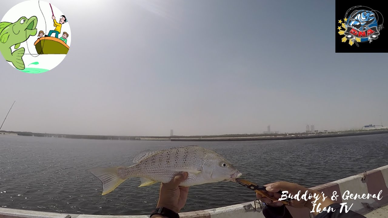 Catching Bakoko - YouTube