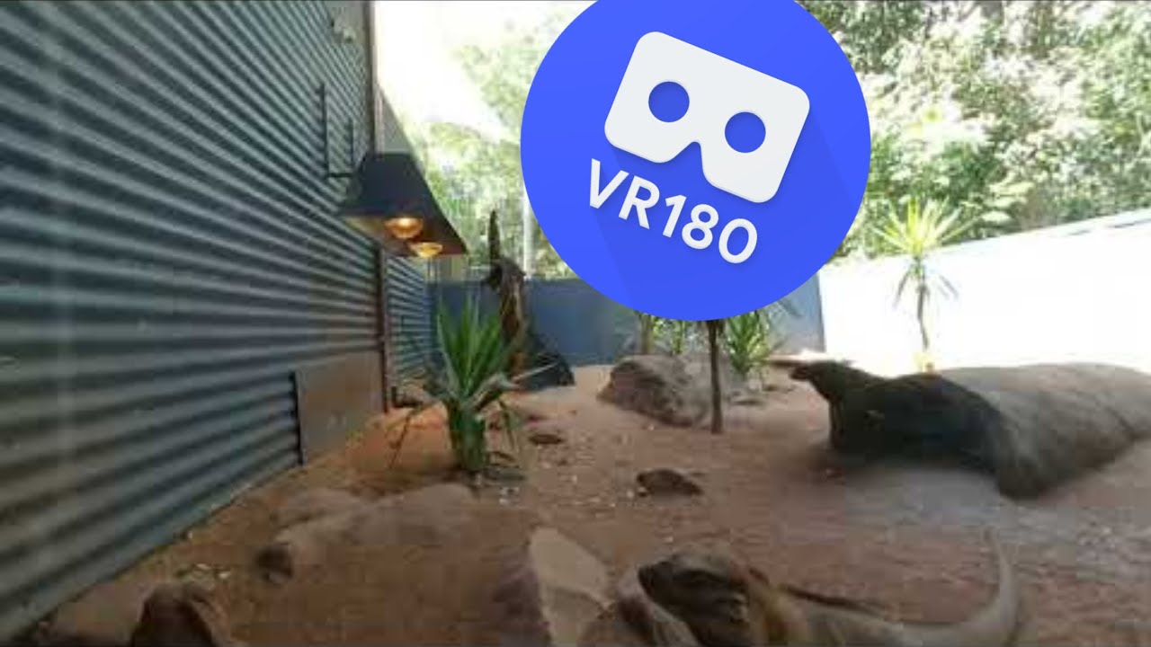 [VR180 VR 3D] Friendly Lizard @ Hartley's Crocodile Adventures | Family ...