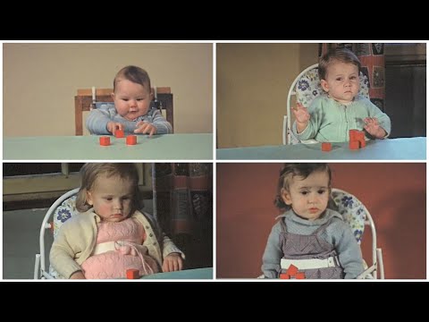 Ihmal edilen bebekler 1965'ten deney