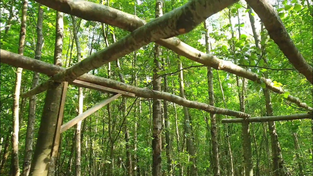 Part 4 woodland hut build. Horizontal beams and an exploding tape ...