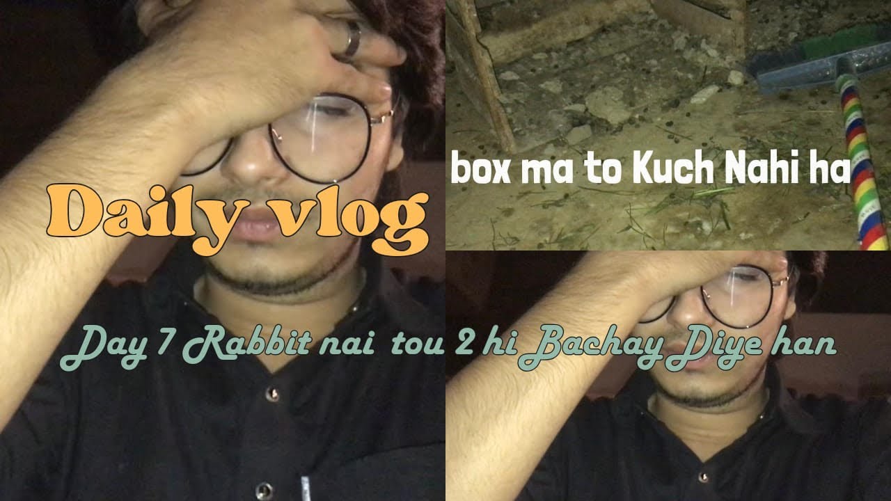 Daily vlog day 7 Rabbit nai tou 2hi Bachay Diya han - YouTube
