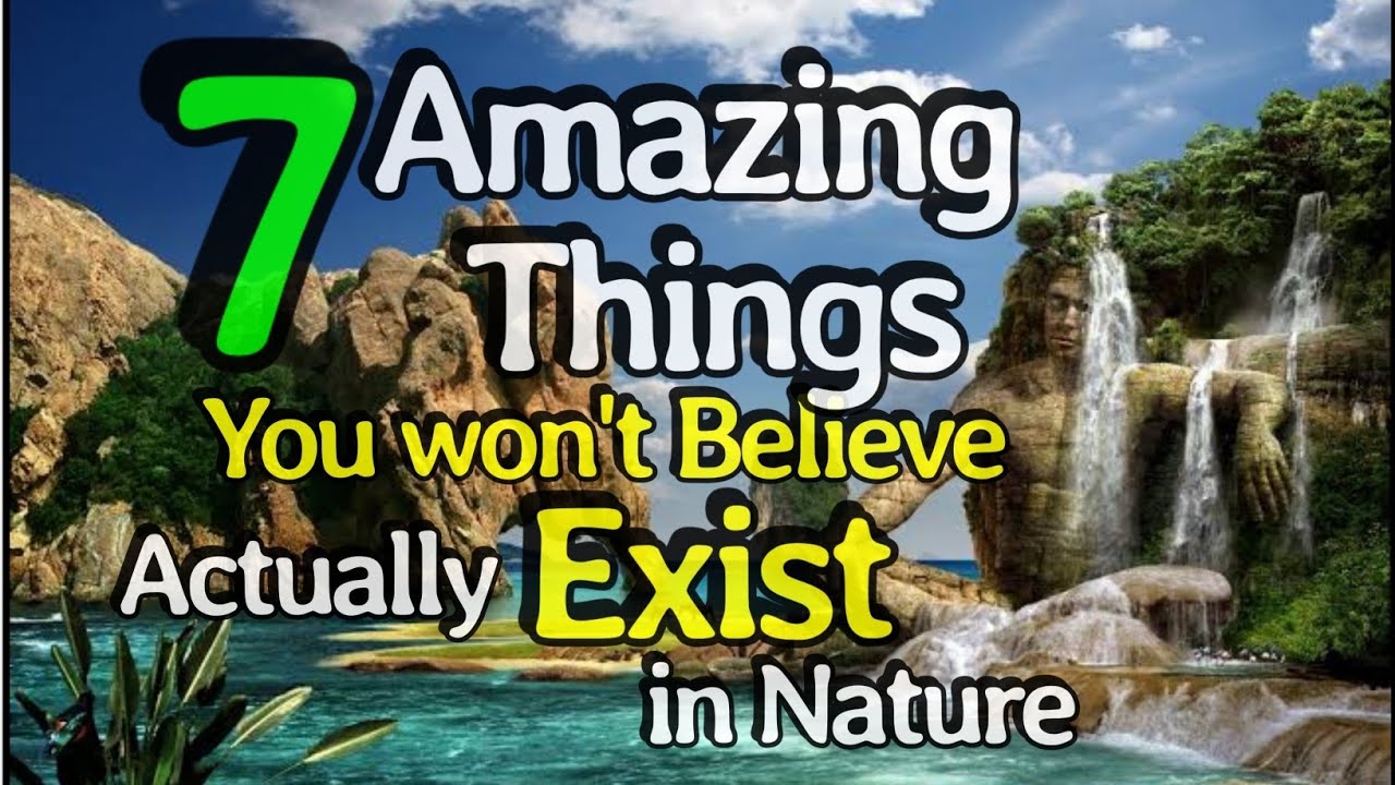 7 AMAZING THINGS YOU WON'T BELIEVE ACTUALLY EXIST | AMAZING THINGS ...