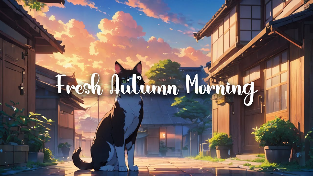 Fresh Autumn Morning 🌞 Lofi Cat Music #lofi #chillmusic - YouTube