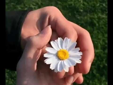 Sounds app 😄.Kanal nə qədər sevilir?10 bal üzrə qiymətləndirək😜💜🌼 videolarımız bitmemiş hala😂😌