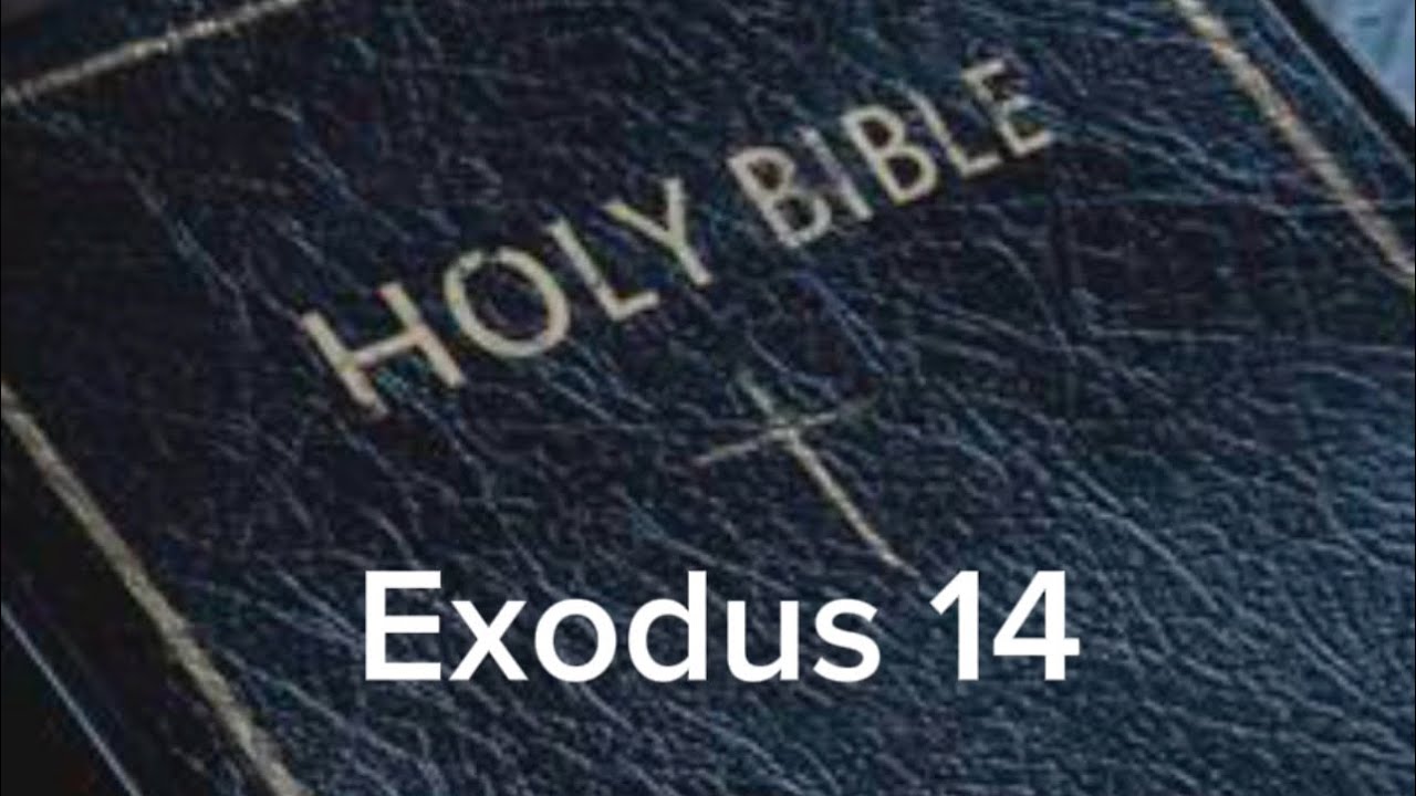 Exodus 14 (NIV) The Audio Bible - YouTube