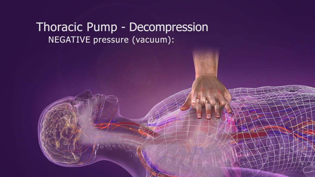 Conventional CPR Overview 00 00 26 00 01 32 - YouTube