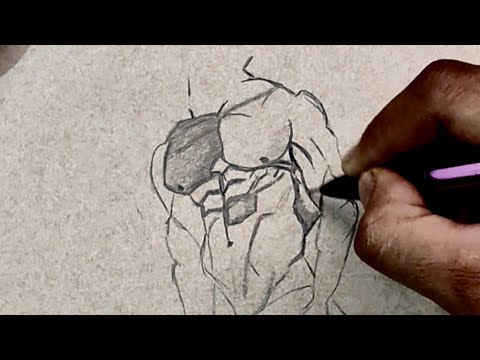 Male Body Anatomy Drawing Tutorial | Full Body Proportion & Muscles ...