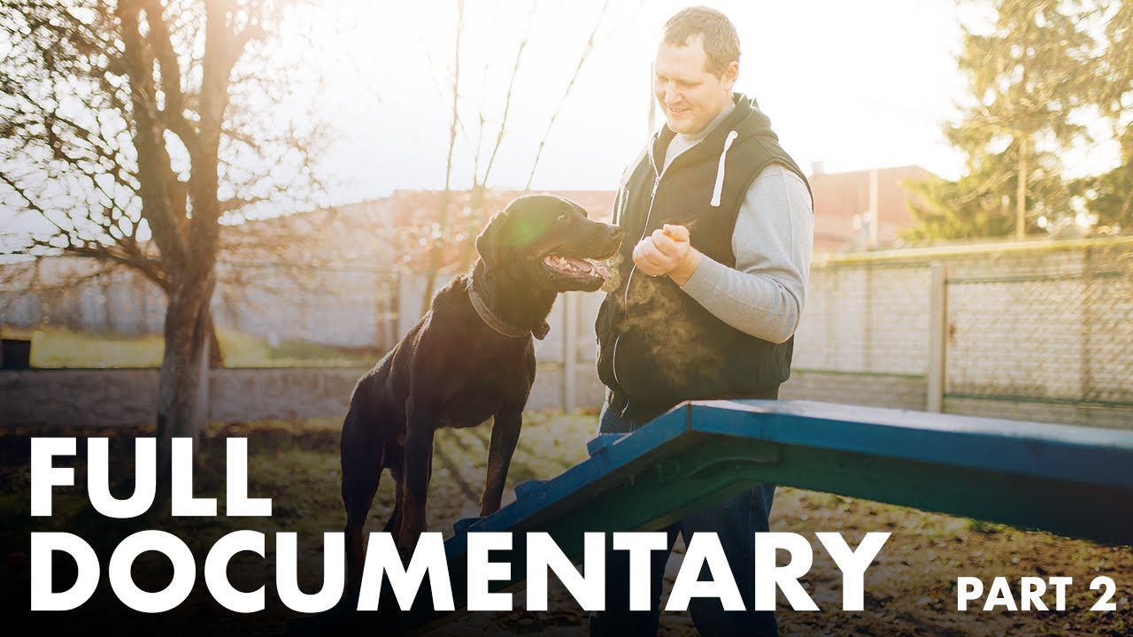 The Working Dog - Full Documentary (Part 2/4) - YouTube