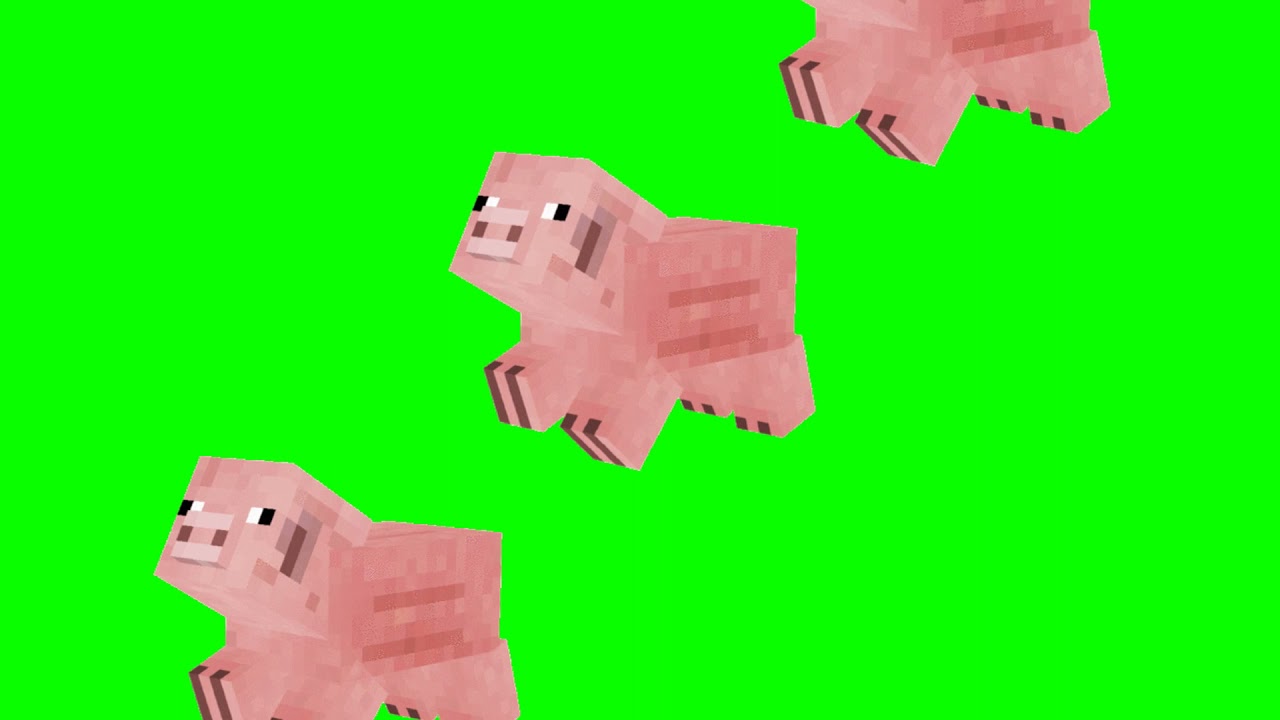 Minecraft running pig animations on green screen - VFX for video ...