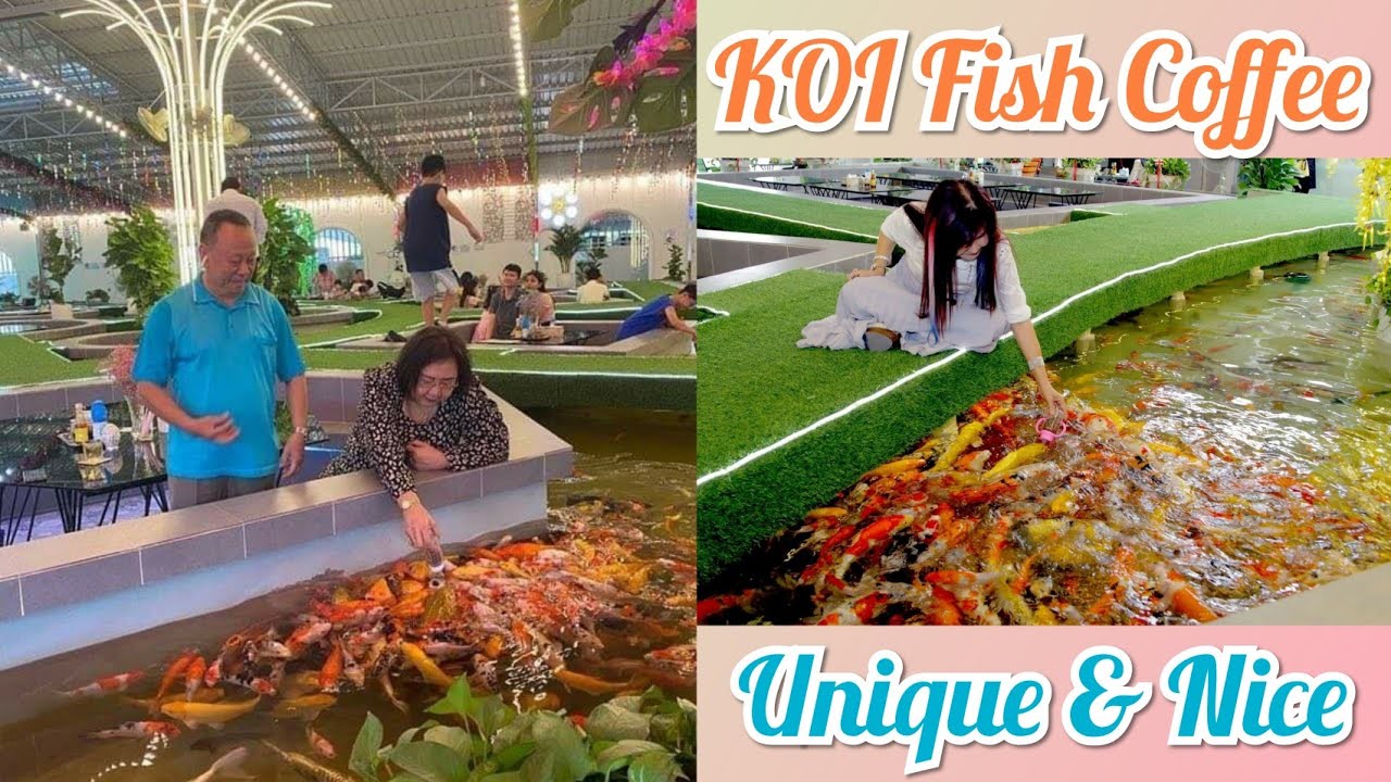 KOI Fish Coffee, Unique and Nice, New place to recommend. - YouTube